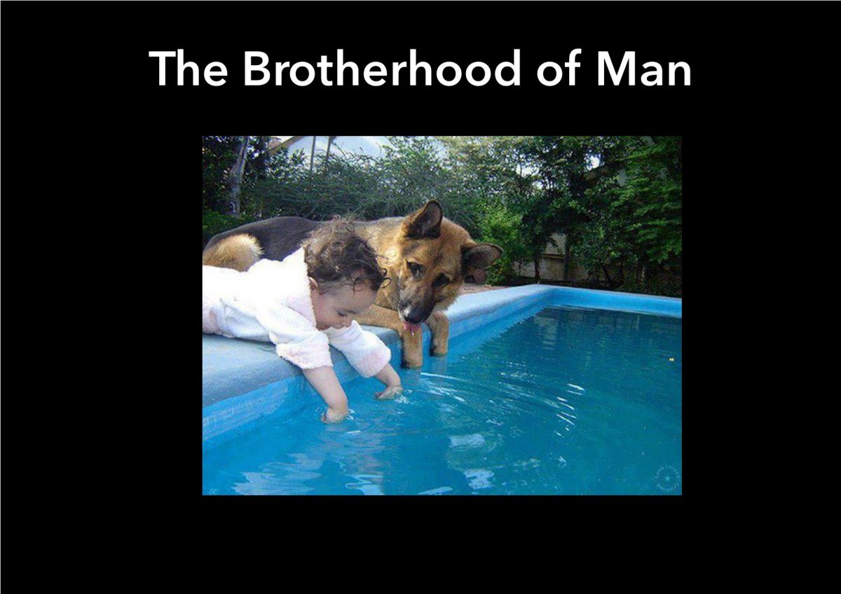 Seven Principles of Spiritualism - READING SNU CENTRE